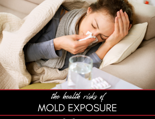 The Science Behind Mold Growth and Why Mold is Harmful | Exact Recon ...