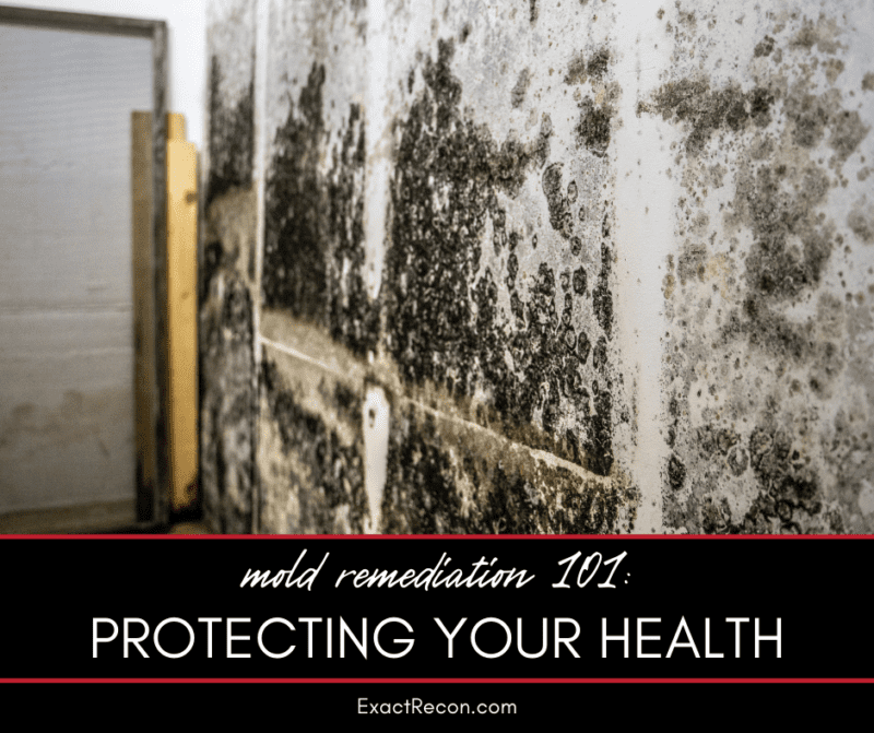 Mold Remediation 101: Protecting Your Home and Health | Exact Recon ...