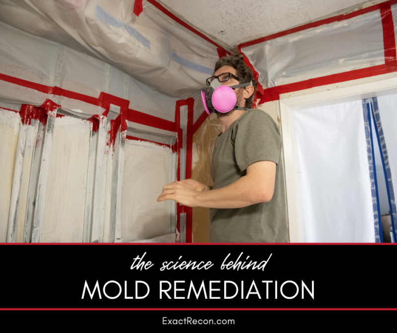 The Science Behind Mold Remediation | Exact Recon Restoration