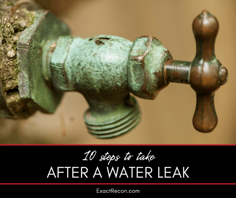 10 Essential Steps to Take Right After a Water Leak | Exact Recon ...