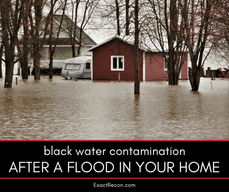 Everything You Need to Know About Black Water Contamination After a ...