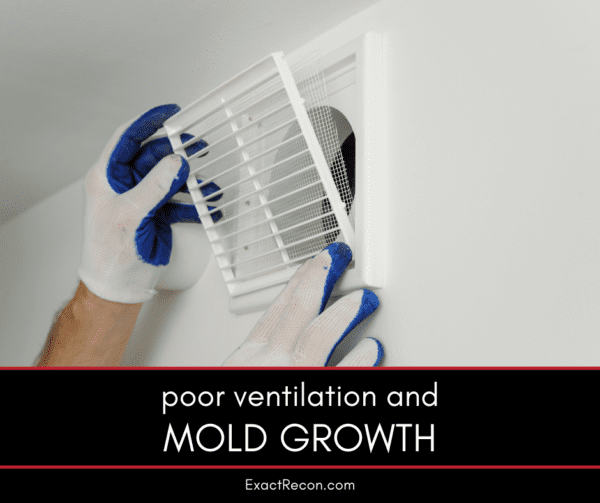 What You Need to Know About Poor Ventilation and Mold Growth | Exact ...