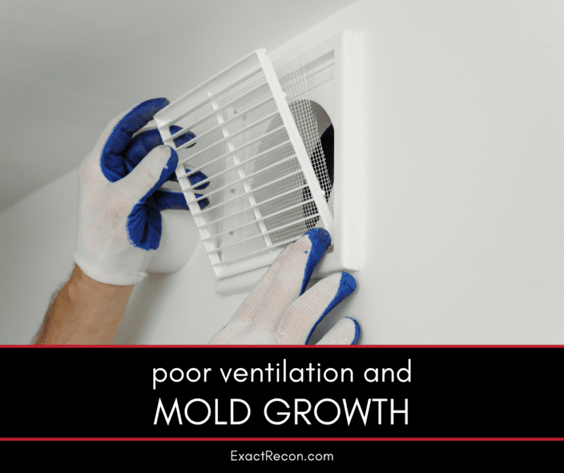 What You Need to Know About Poor Ventilation and Mold Growth | Exact ...